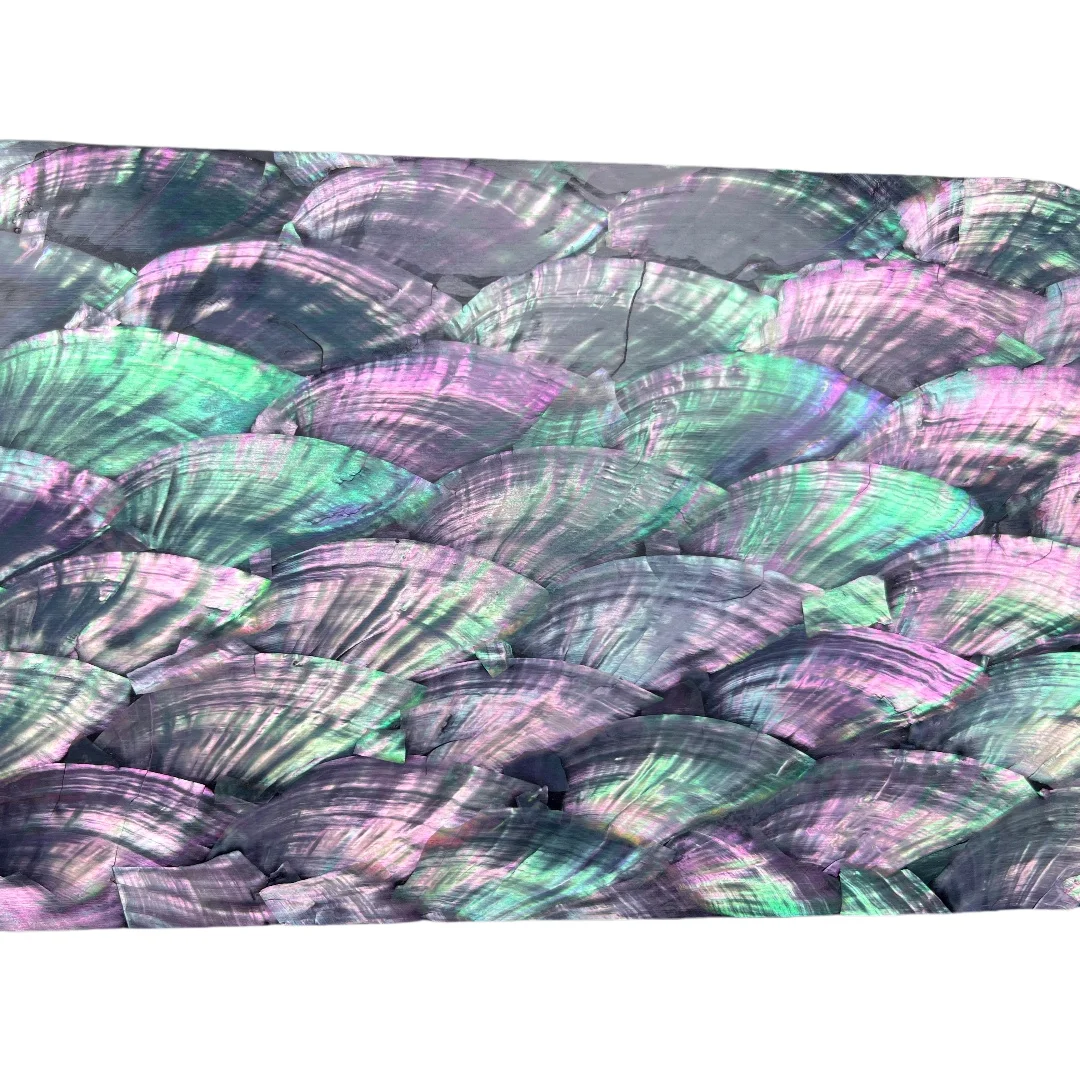 Size-24x14CM-T-0-2mm-Scallop-paper-natural-donkey-ear-shell-patch-DIY ...