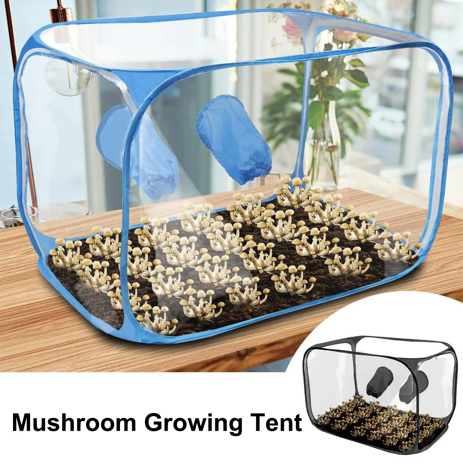 Mini Greenhouse Mushroom Growing Container Still Air Box