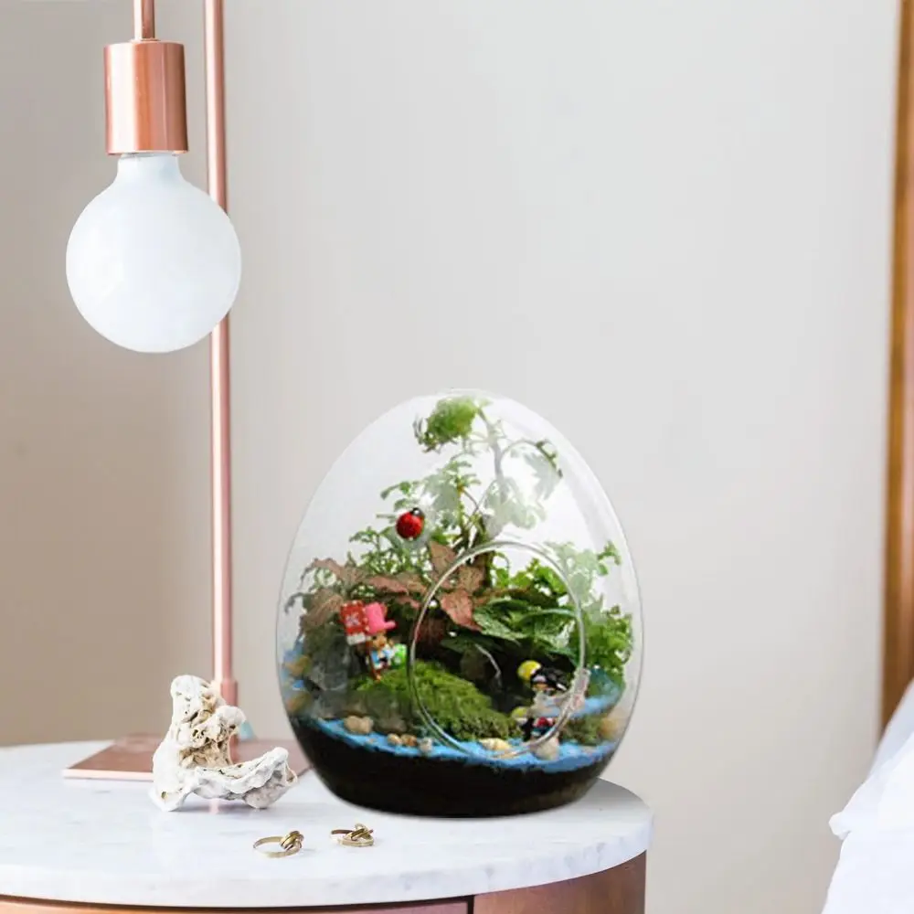 Creative-Egg-shaped-Glass-Bottles-Succulent-Glass-Vase-Hydroponic ...