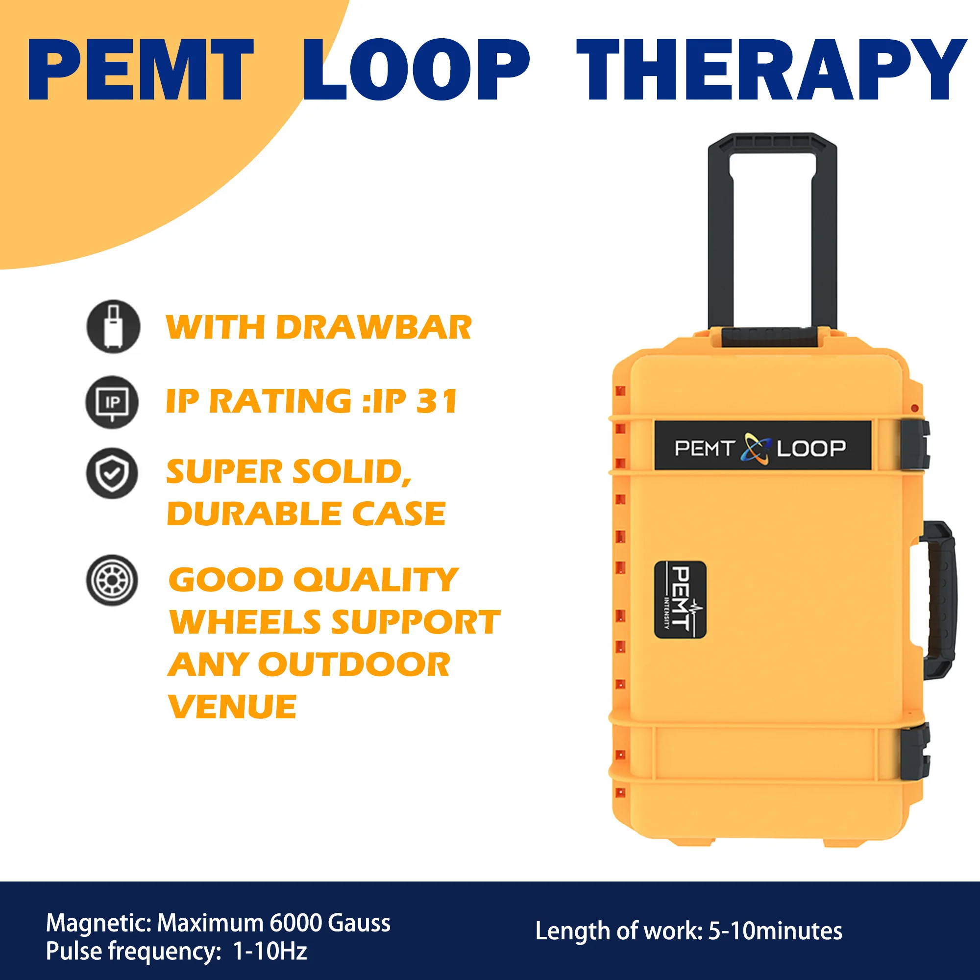 Portable-PEMT-Loop-For-Human-Physio-Magneto-Super-Transduction ...