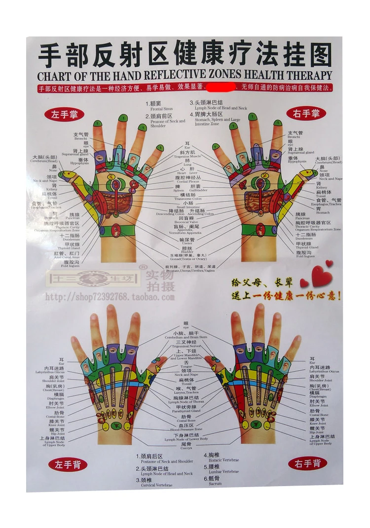 7Pcs English Hand Foot Ear body reflective zones meridian points human ...