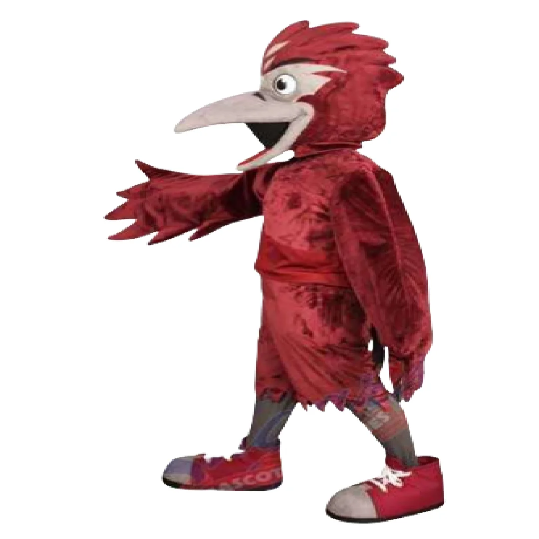 Roadrunner mascot costume rooster custom fancy costume anime cosplay ...