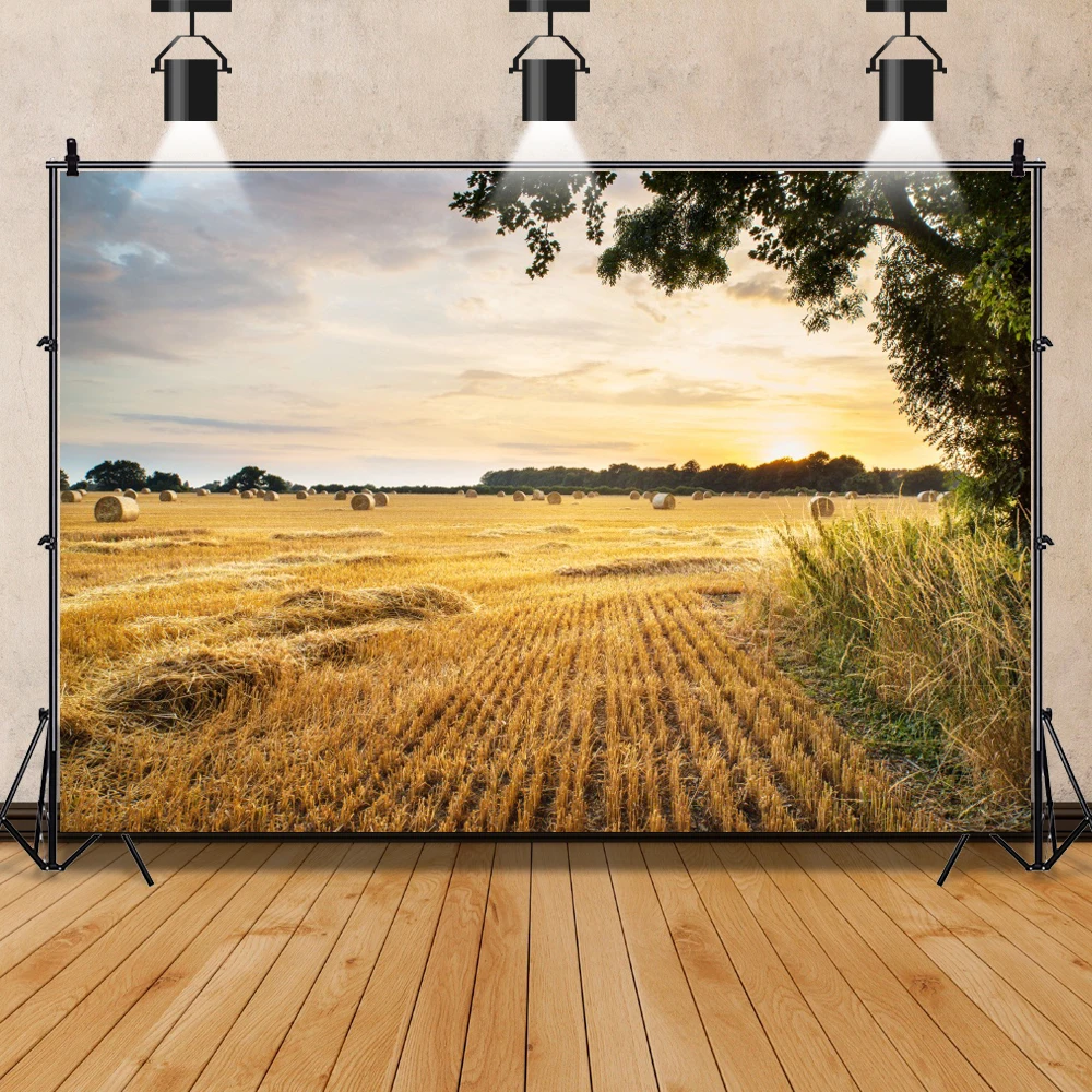 Photography Backgrounds Fields | Harvest Photography Backdrops ...