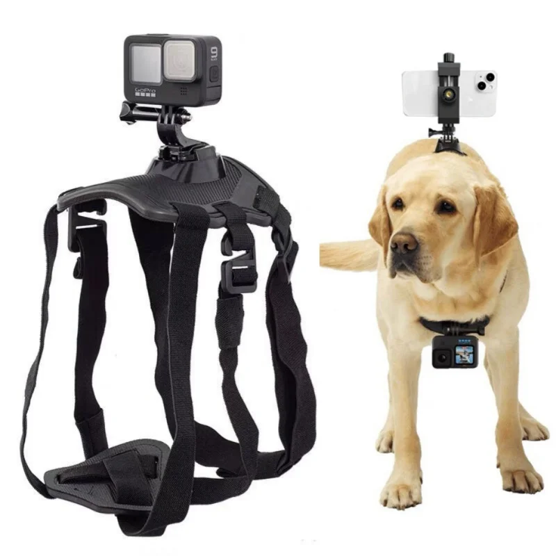 TTL-cx16-Suitable-for-GOPRO-DJI-Insta360-Panoramic-Camera-action-camera ...