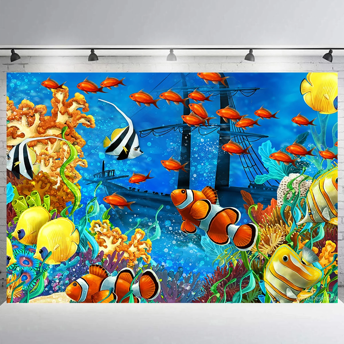 Summer Under The Sea Fish Backdrop Colorful Theme Art Photography ...