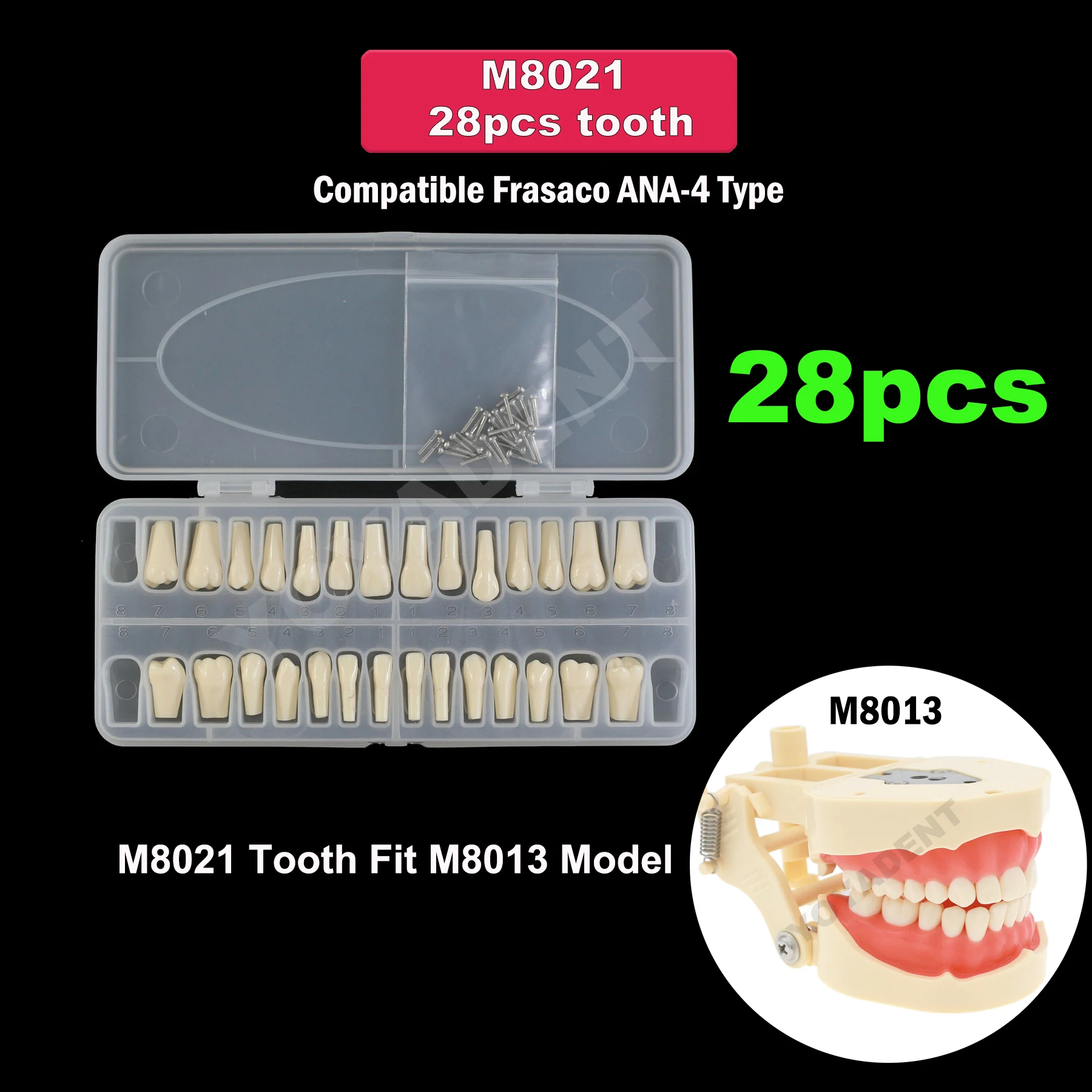 Universal-28Pcs-Replacement-Tooth-Particles-Fit-Frasaco-ANA-4-Type ...