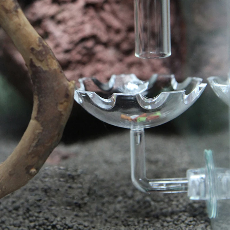 Shrimp-Feeder-Dish-Shrimp-Feed-Dish-Aquarium-Fish-Tank-Shrimp-Food-Bowl ...