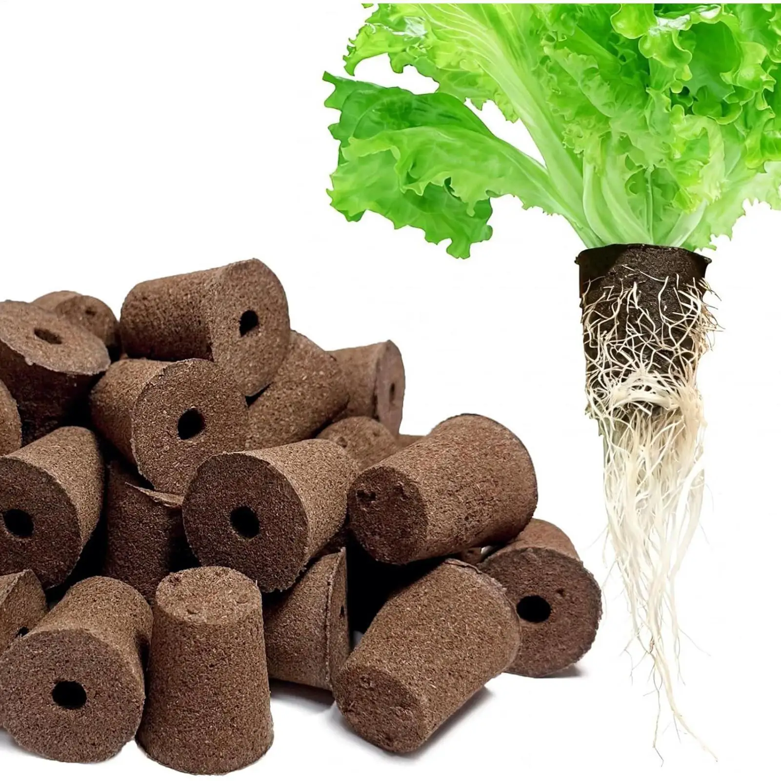 50pcs Hydroponic Growing Sponges Seed Grow Sponges Replacement Root ...