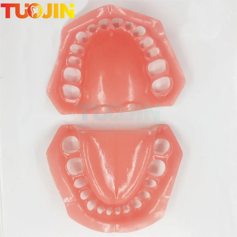 Dental-28pcs-Soft-Gum-And-Face-cheek-Teeth-Model-Dental-Standard-Model ...