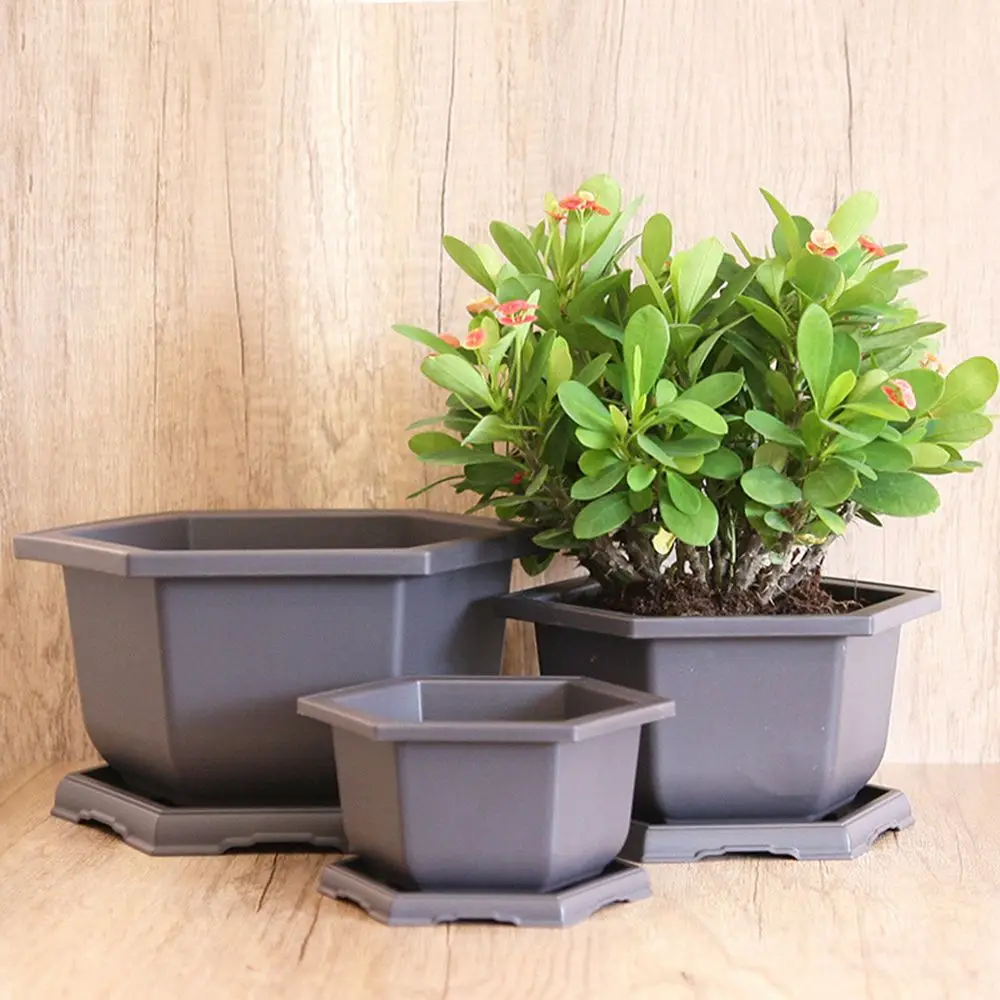 Hexagon-Flower-Pots-Succulent-Box-Planter-Plant-Pot-Plant-Container ...