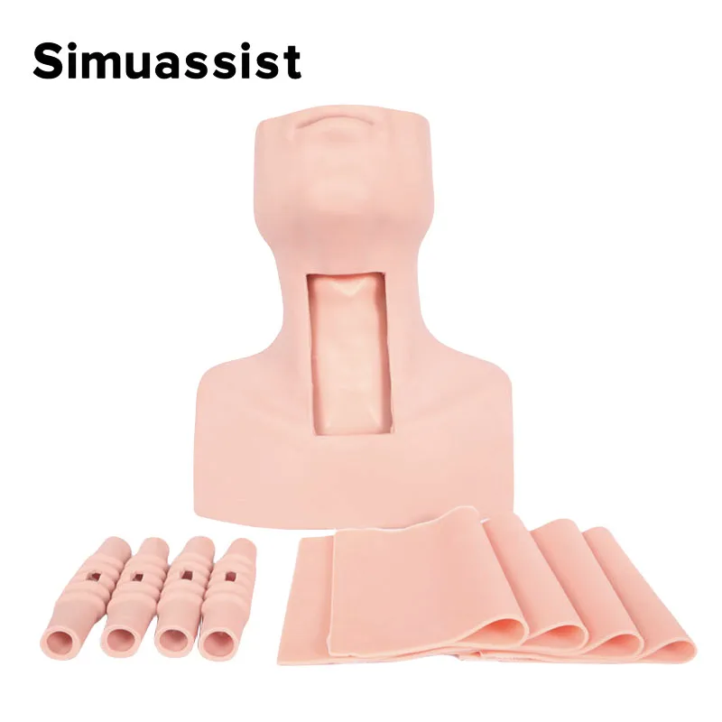 Advance-Thyrocricocentesis-Tracheostomy-Simulator-Tracheotomy ...