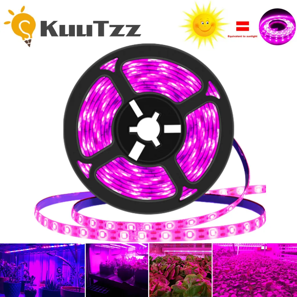 Full-Spectrum-USB-LED-Grow-Lights-Phyto-Lamp-Strip-para-Sementes-Flower ...