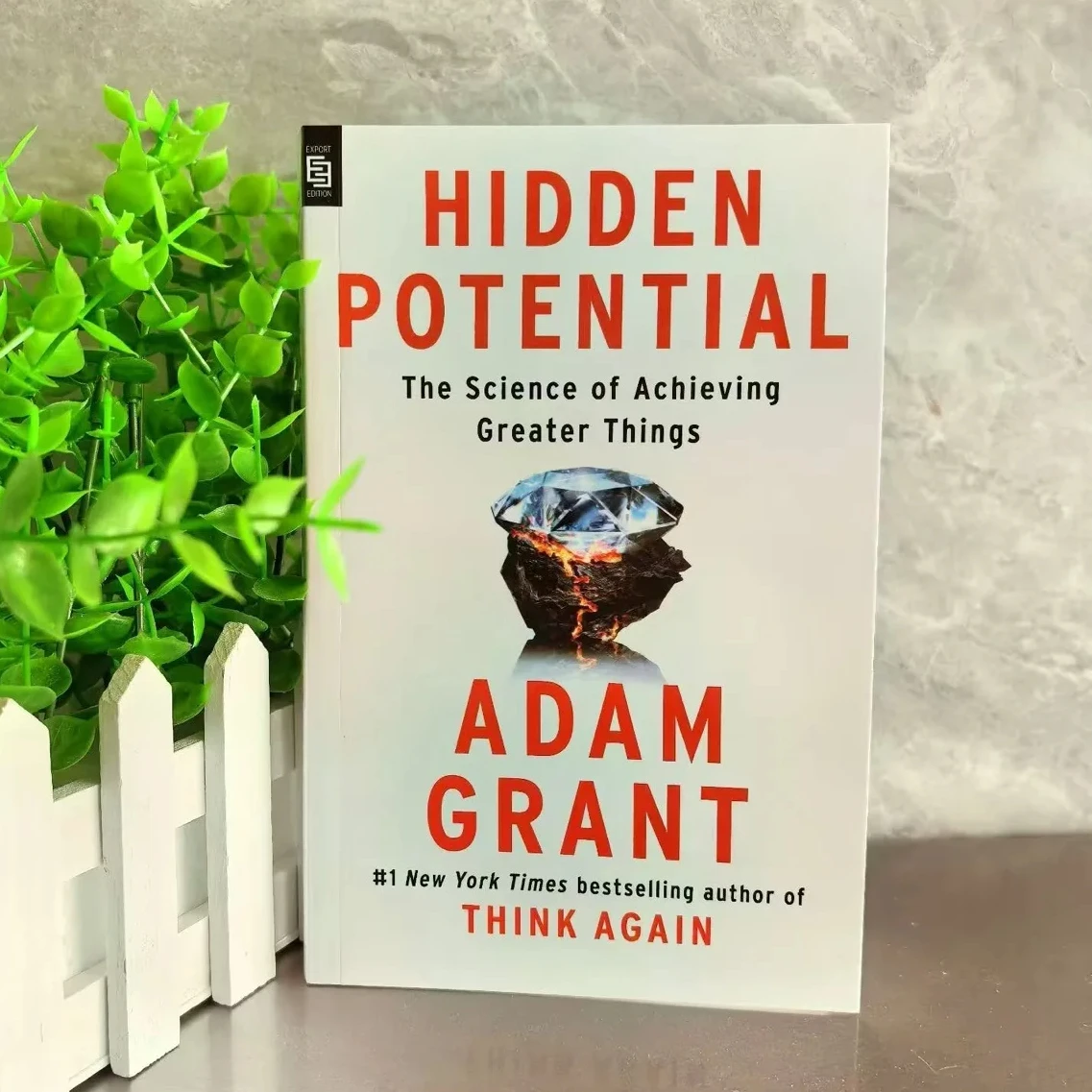 Hidden Potential: Science For Achieving Greater Achievements Adam Adam ...