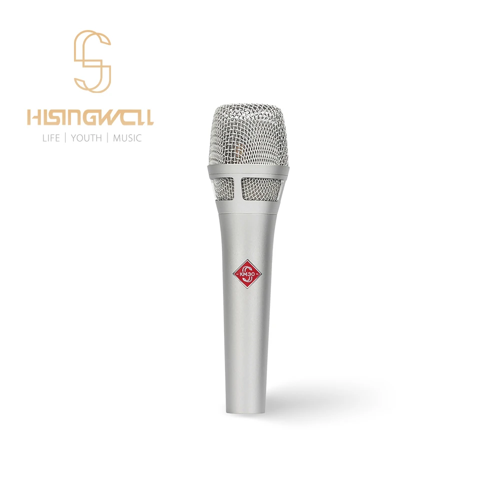 HISINGWELL-Metal-Professional-Studio-Handheld-Microphone-High-Quality ...