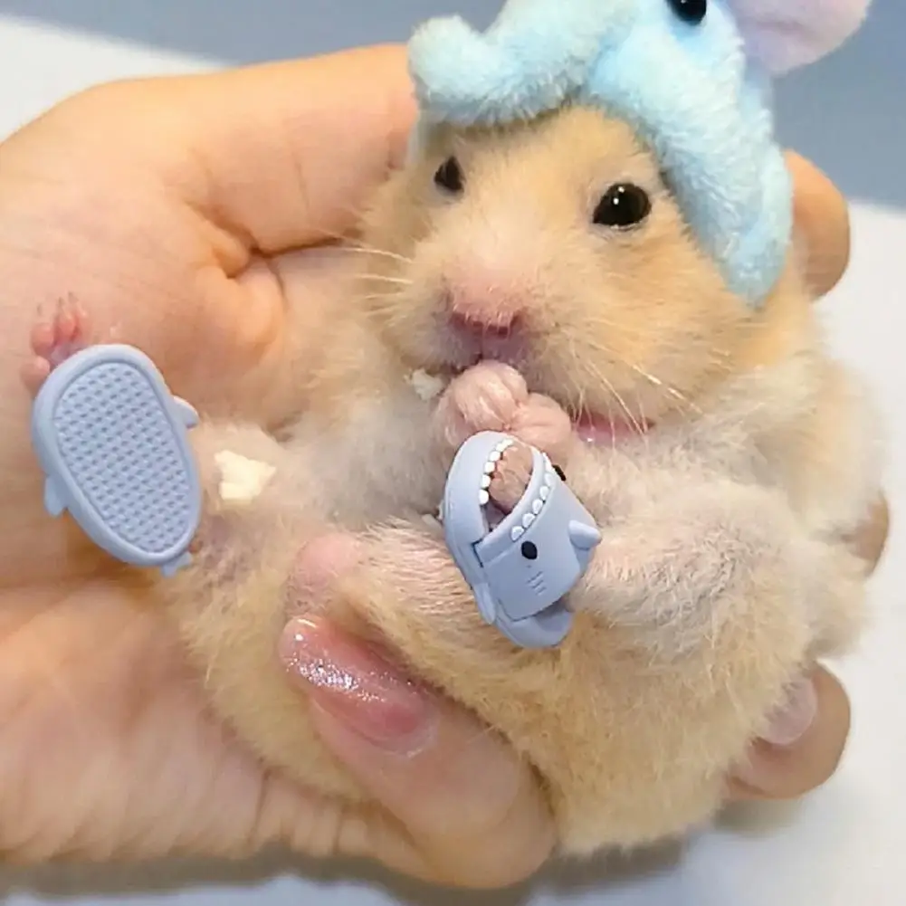 Mini-Hamster-Shoes-Cute-Shark-Slippers-Shoes-Small-Pet-Fun-Clothes ...