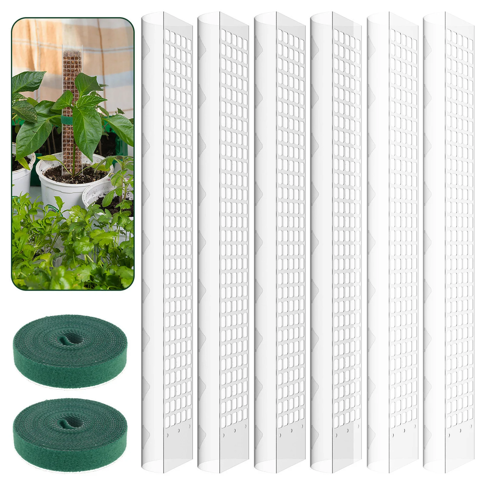 6PCS-Climbing-Plant-Sphagnum-Moss-Posts-Indoor-Plant-Moss-Rods-for ...