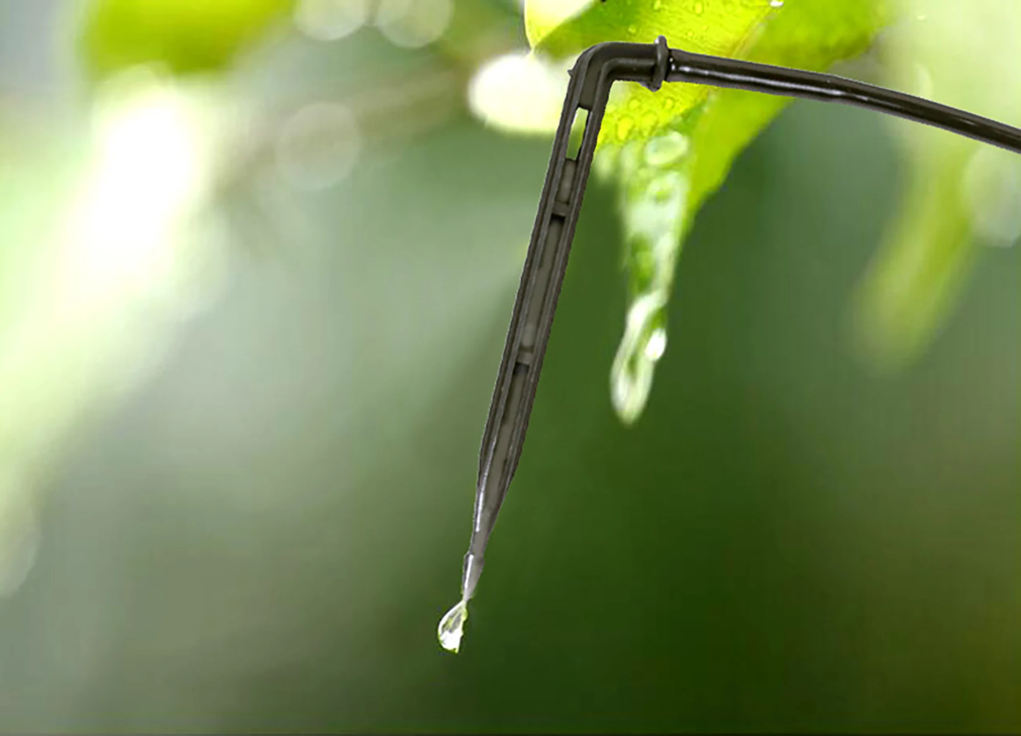 200 Stuks Druppelirrigatie Emitter Gebogen Druipende Pijl ...