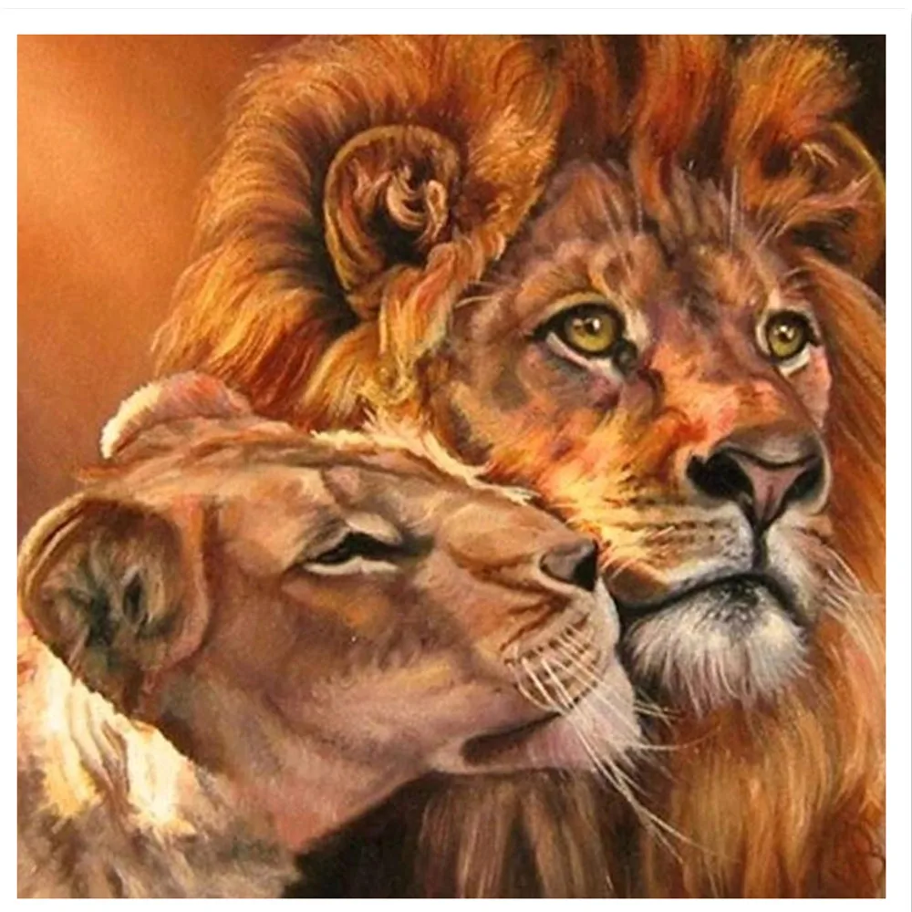 Lion Couples
