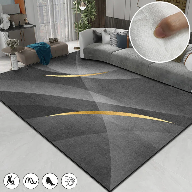 Modern Light Luxury Grey Carpet for Living Room Home Decoration Balcony ...