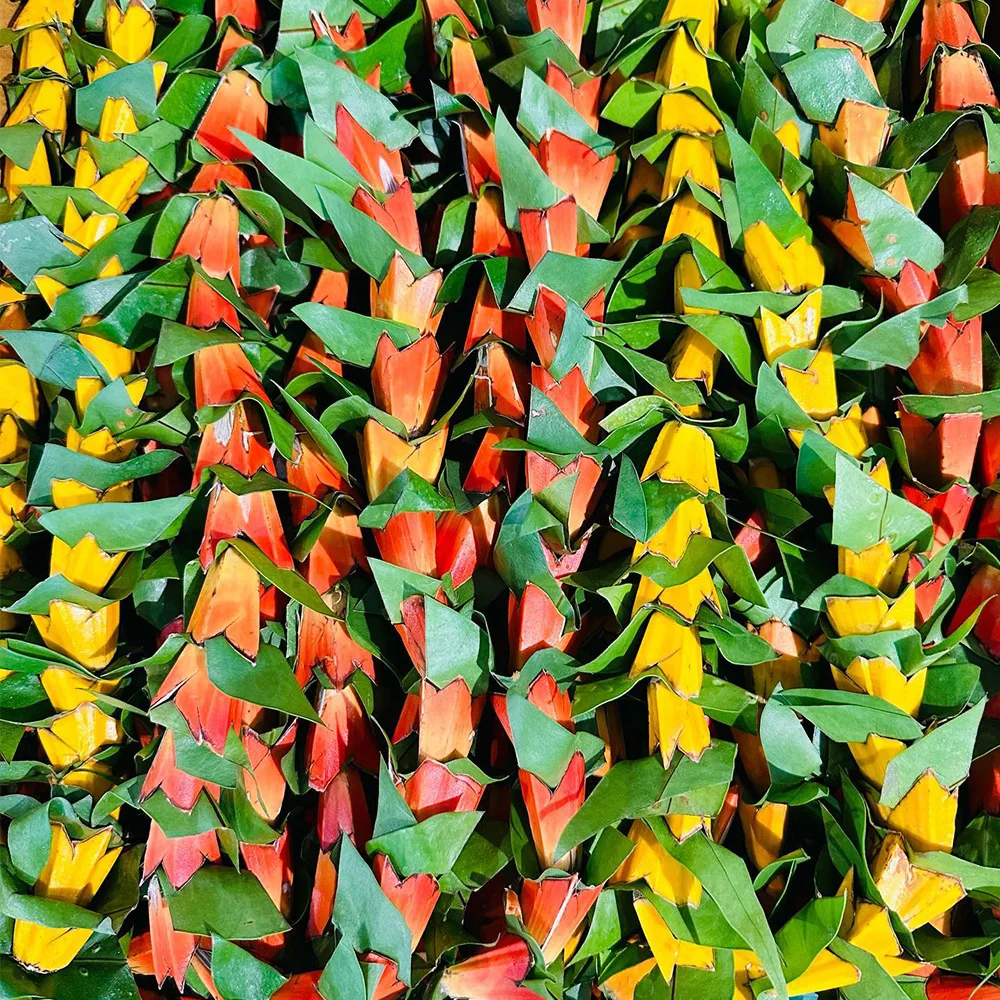 Store Home Products Feedback