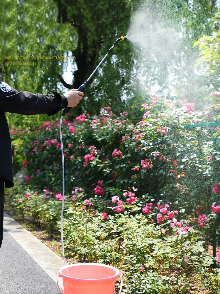 Spraying Insecticides At Home