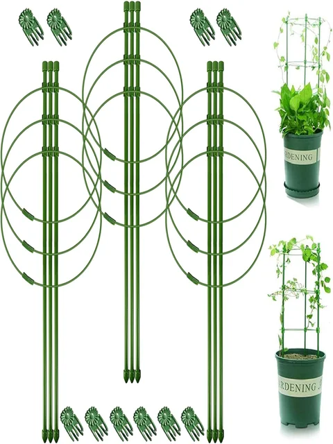 Shop1103128801 Store