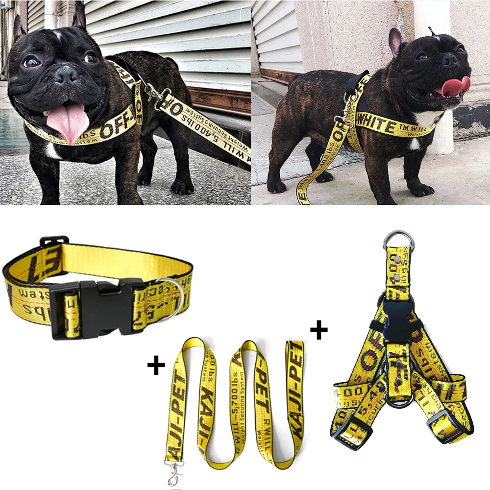 Dog Off White Collar | ppgbbe.intranet.biologia.ufrj.br