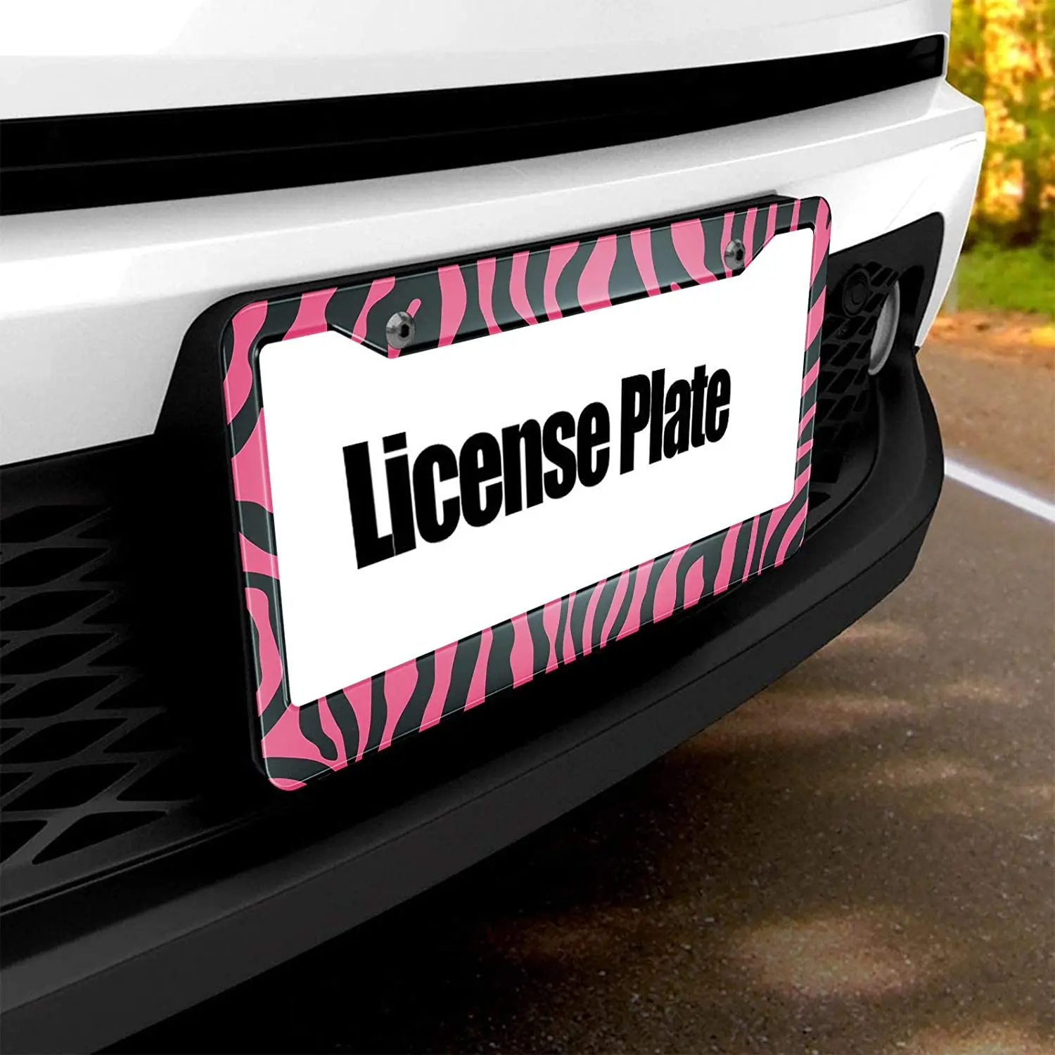 Zebra Print License Plate