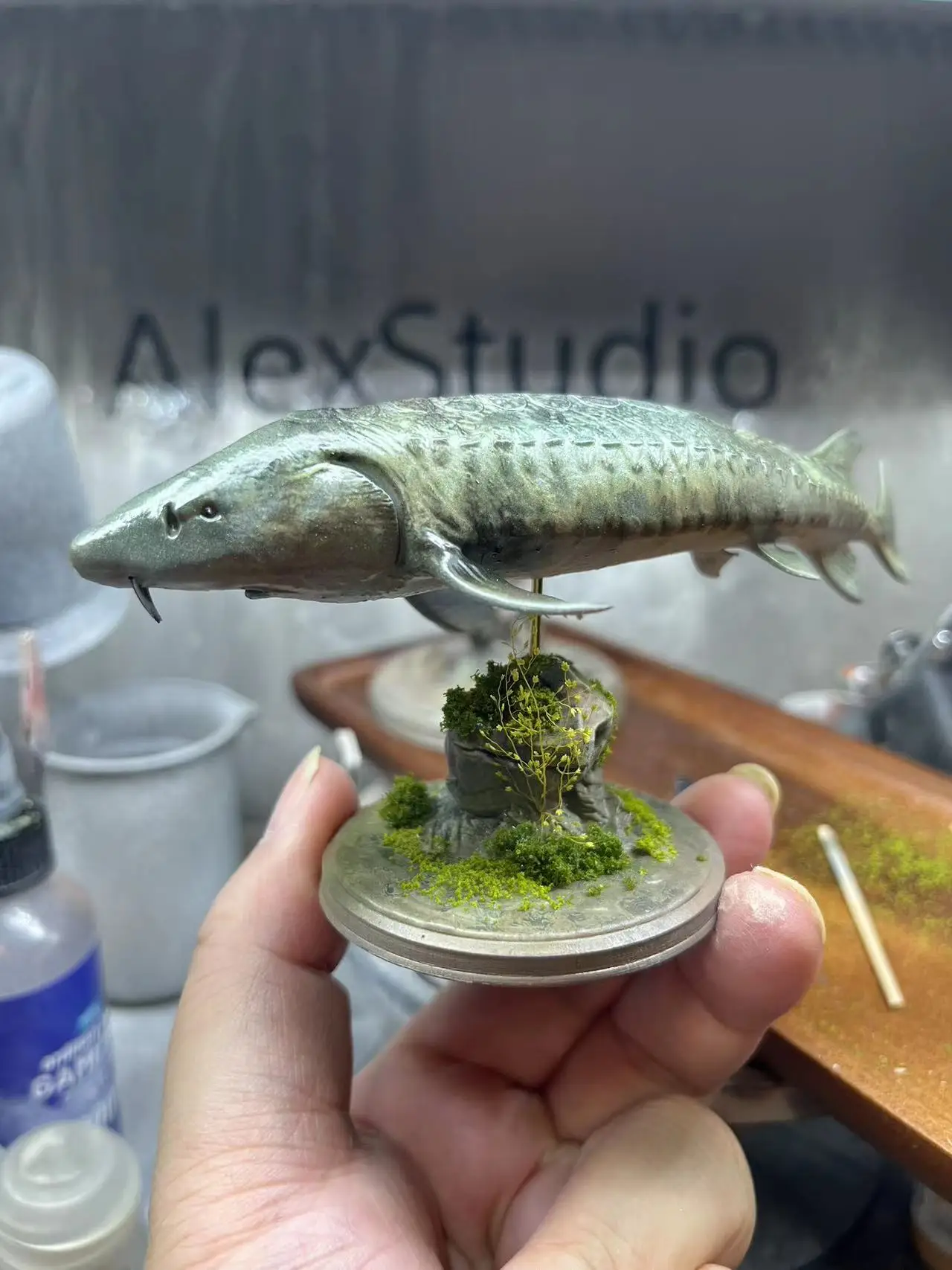 Alex-Studio-1-35-Chinese-Sturgeon-Model-Acipenser-Sinensis-Marine ...