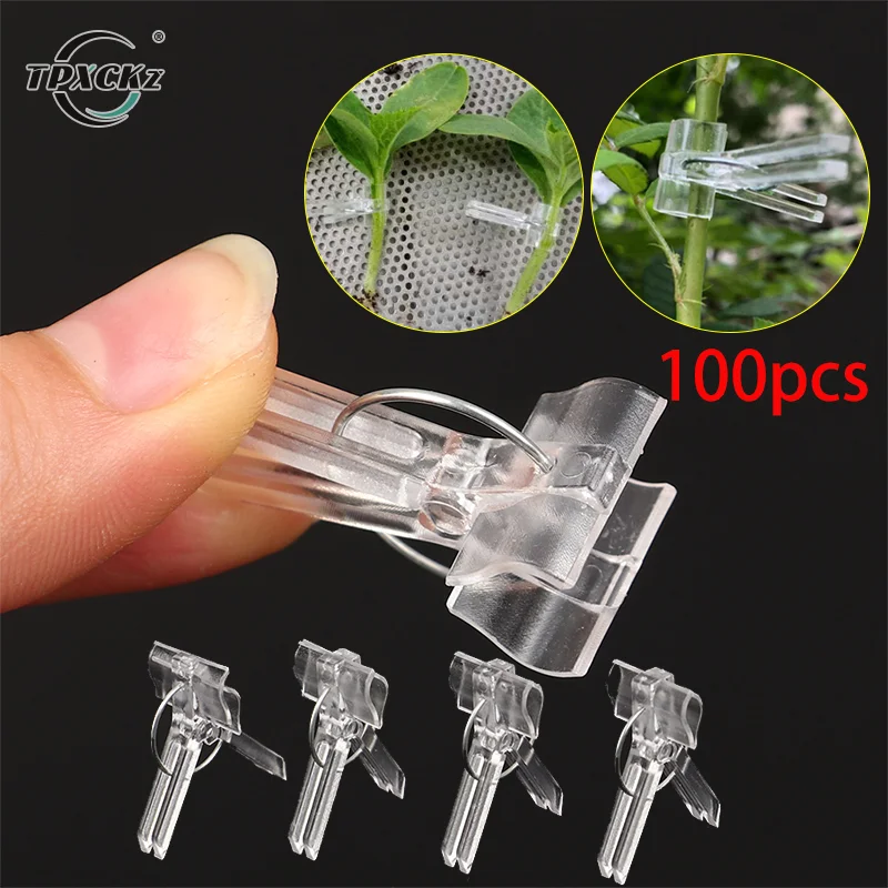 100Pcs-Transparent-Grafting-Clips-Vegetables-Grafted-Clamp-Garden ...