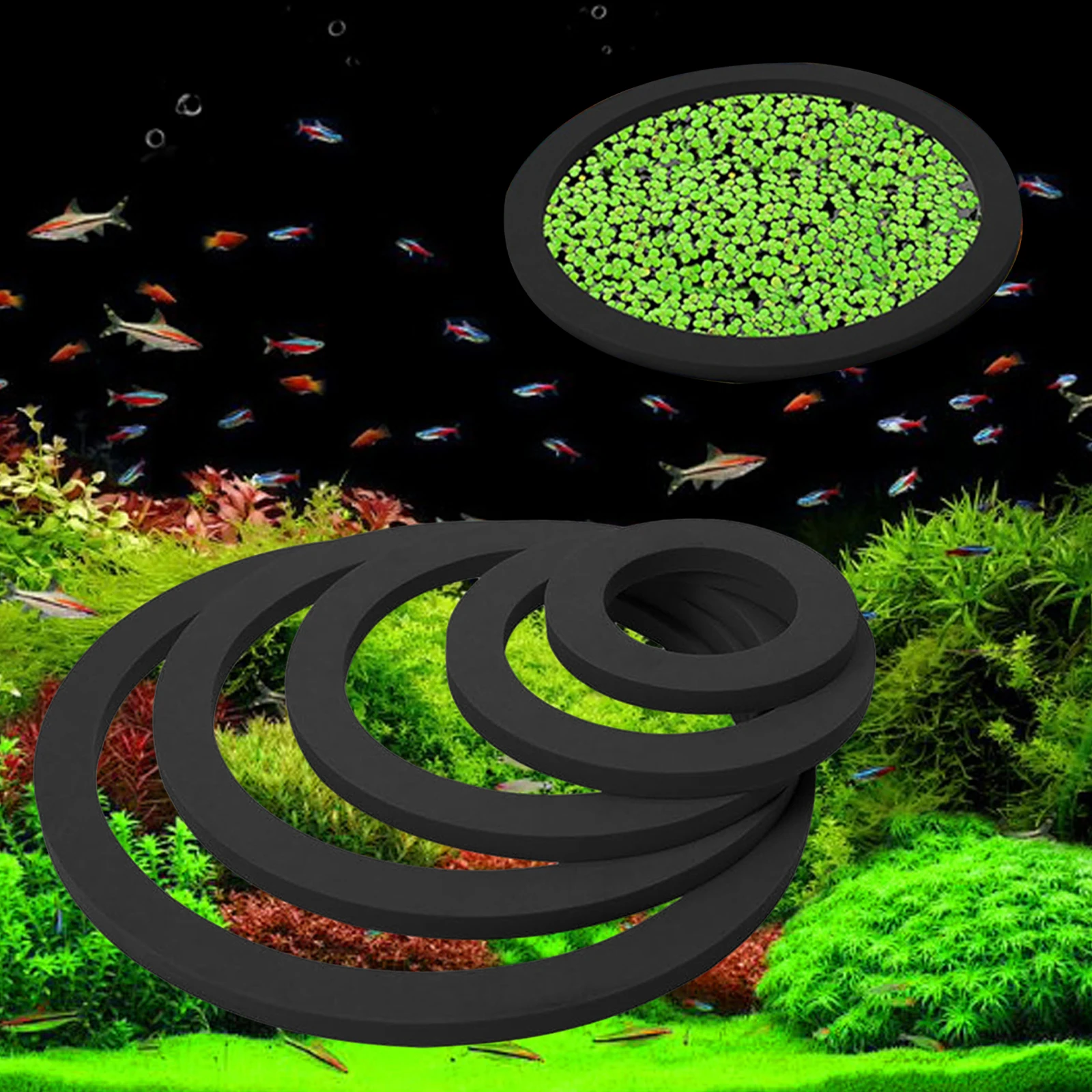 5Pcs-Aquarium-Floating-Plant-Rings-Fish-Feeding-Rings-Floating-Grass ...
