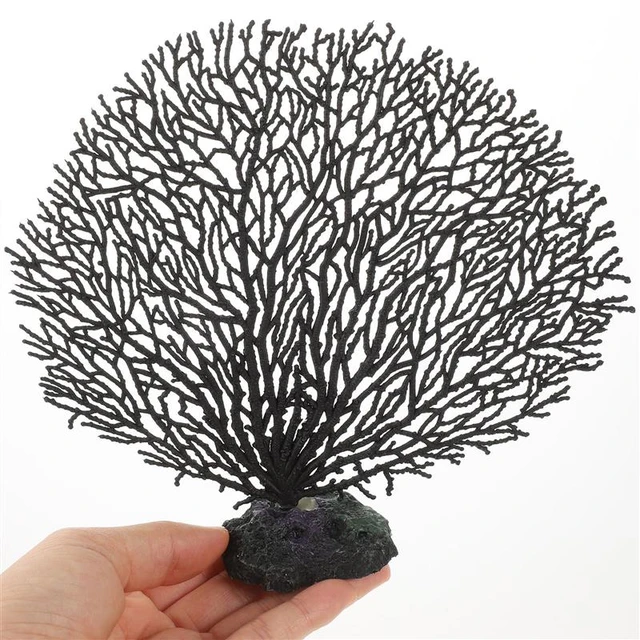 Sea Fan Decor
