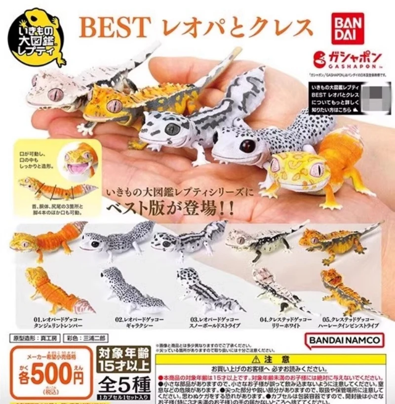 Bandai-Original-5Pcs-Gashapon-Best-lizard-Animal-Action-Figure-Toys-For ...