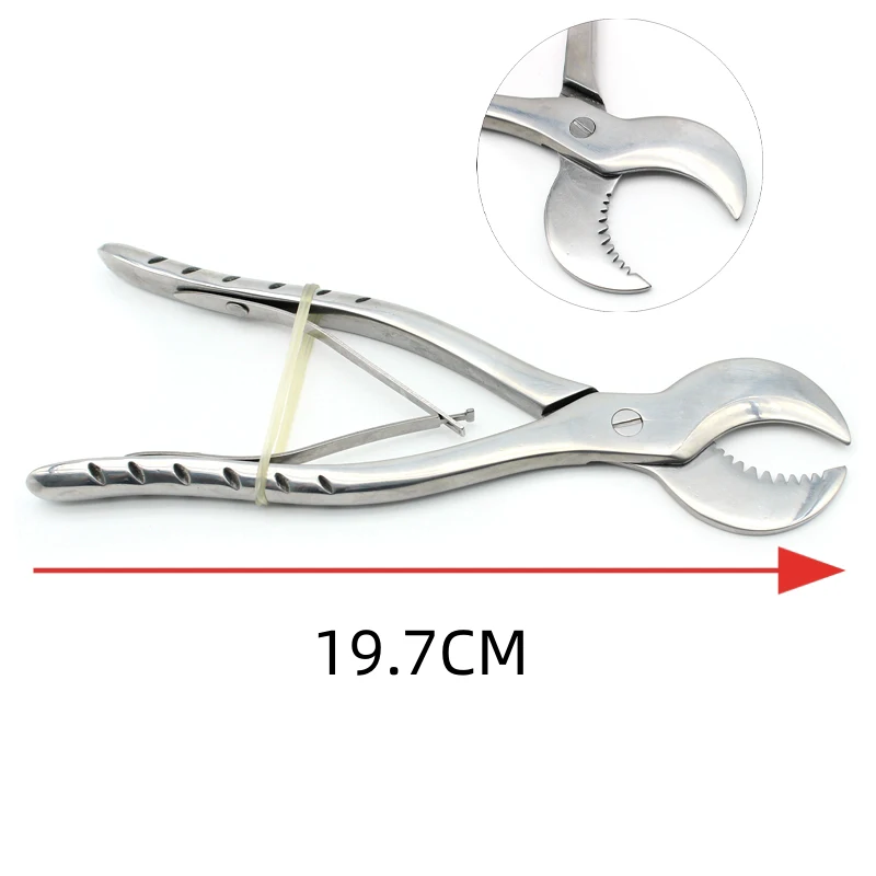 1pcs Dental Plaster Scissors Dental Technicians Plaster Cutting Pliers ...