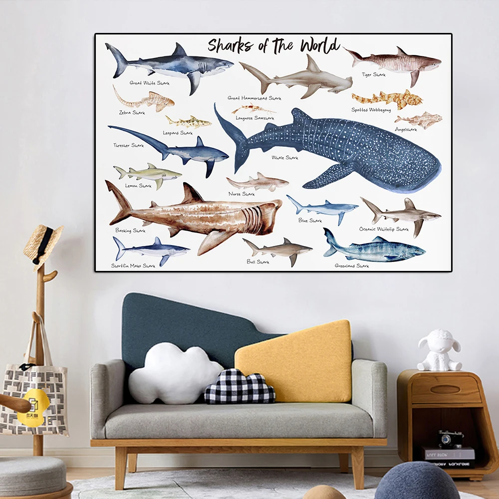 Shark Species Chart