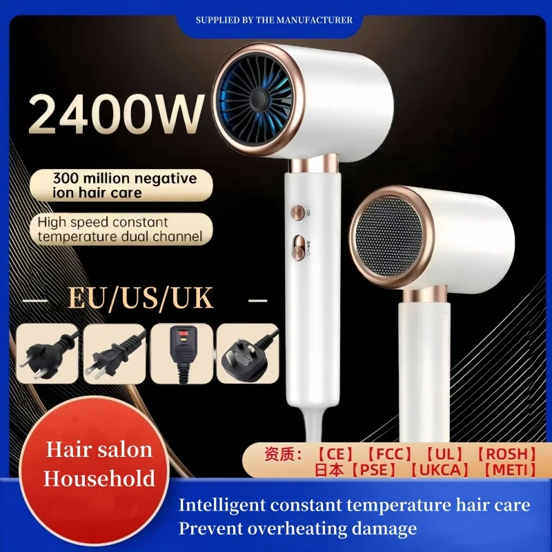 110V/220V Professional High-Speed Hair Dryer 2400W High-Power Silent EU ...