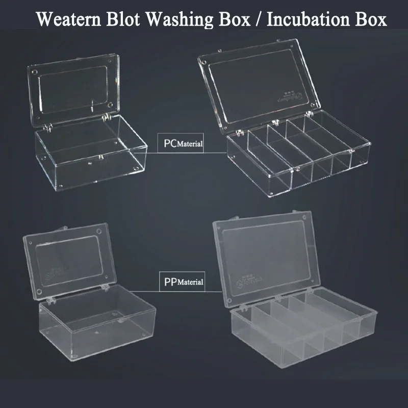 Biosharp Western Blot Detection Decolorization Box PC/PP Material ...