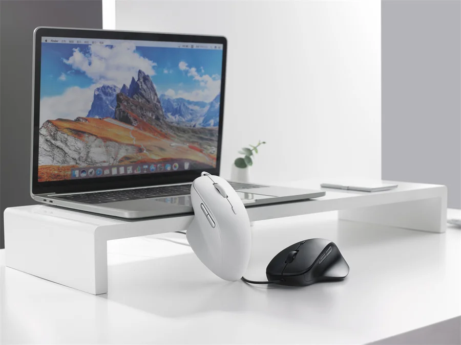 Rapoo N500 Wired Optical Mouse | CyberDeals.lk - Ultimate Online Gadget ...