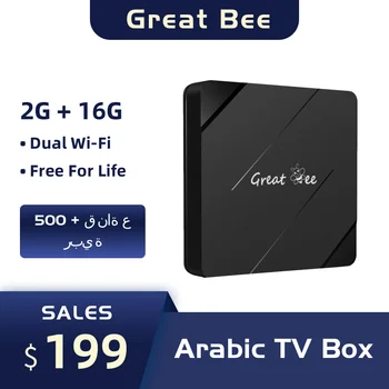 Great Bee New Arabic TV Box, GBM4 Android 10 Arab Smart Set Top Boxes ...