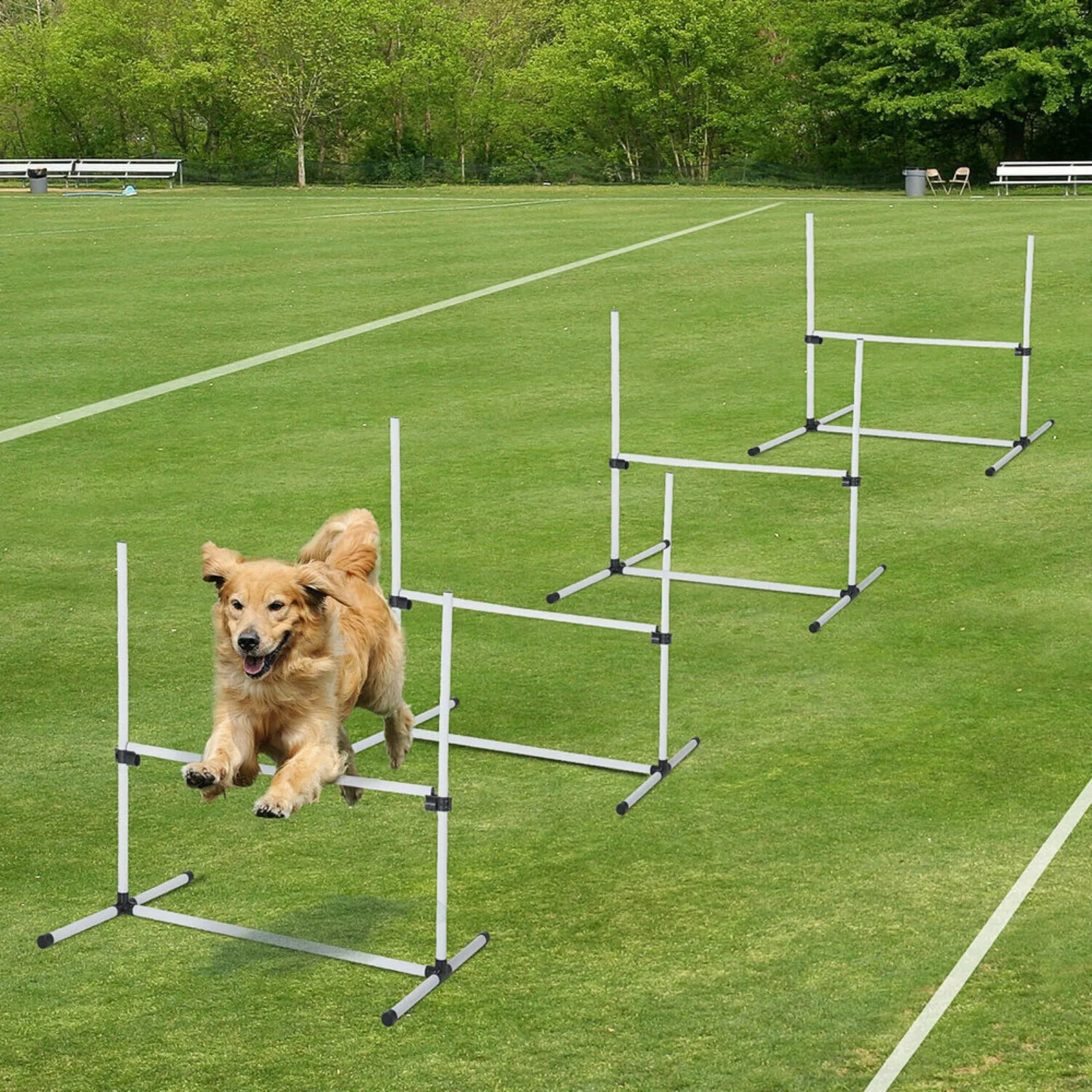 US-Dog-Agility-Jumping-Training-Equipment-Obstacle-Course-Set-Outdoor-Jump-Bar.jpg