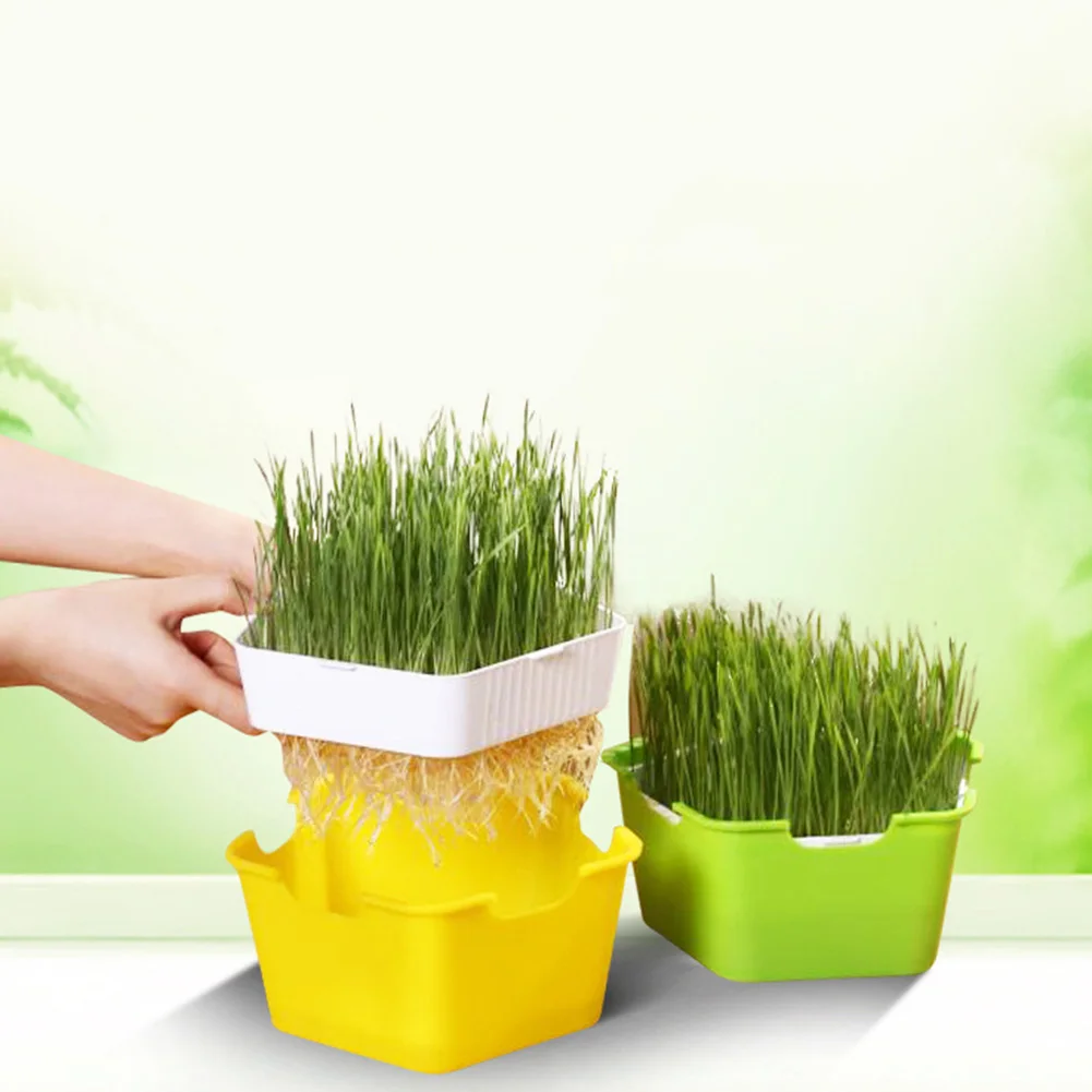 Bean Sprouts Growing Tray Seed Greenhouse Hydroponics Plant Cat Grass ...