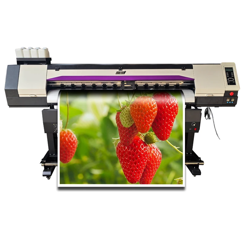 Everything You Need to Know About the 6 Feet Eco Solvent Printer for ...