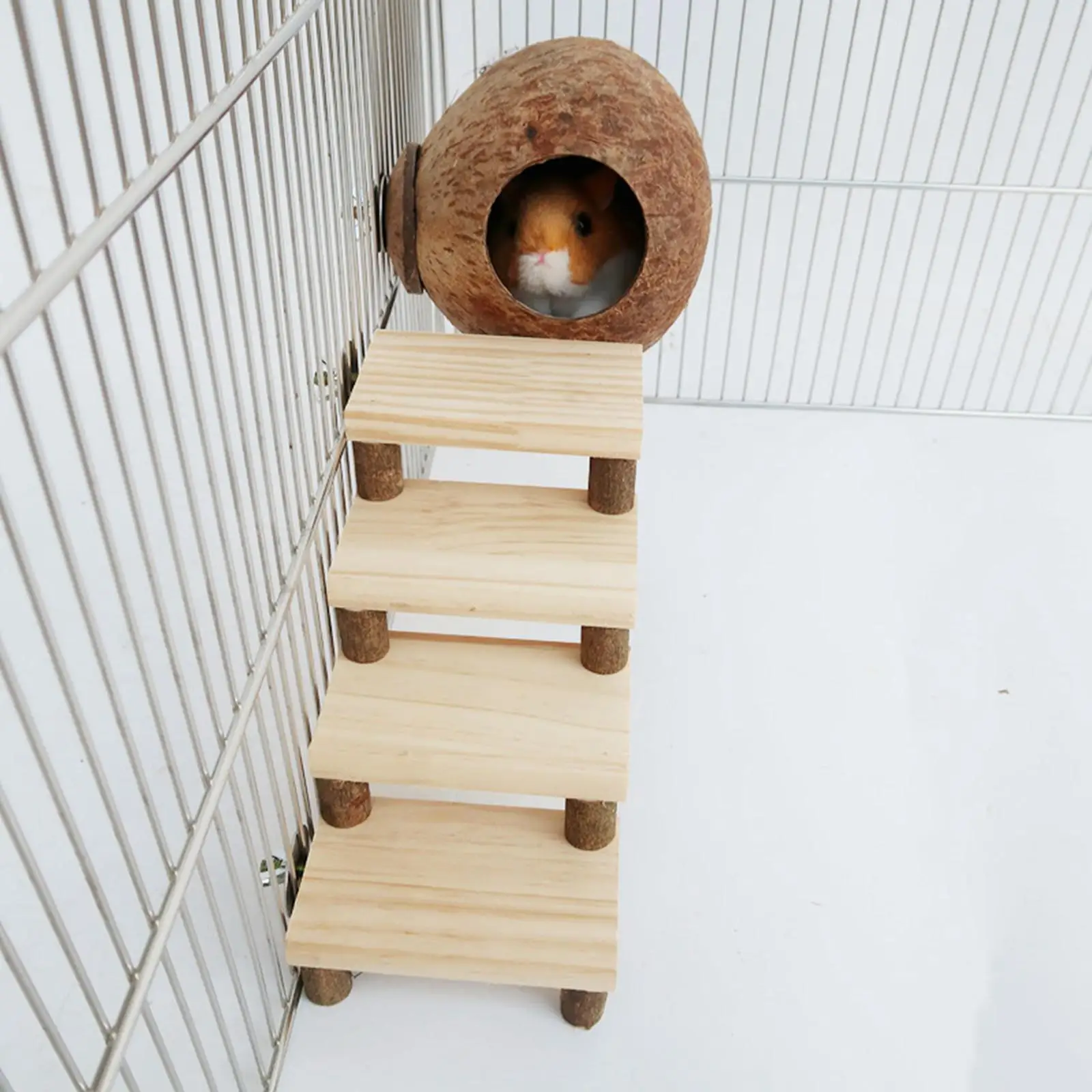 Coconut-Hamster-House-Playing-Climbing-with-Stair-Small-Animal-Cage ...