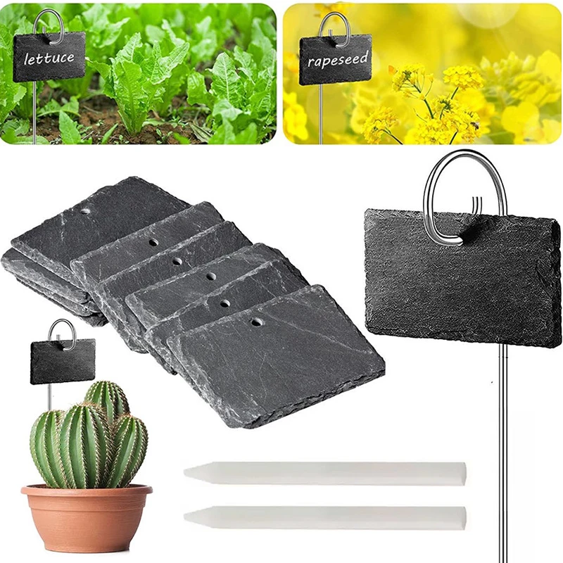 Slate Label Garden Plants | Natural Plants Seedlings | Garden ...