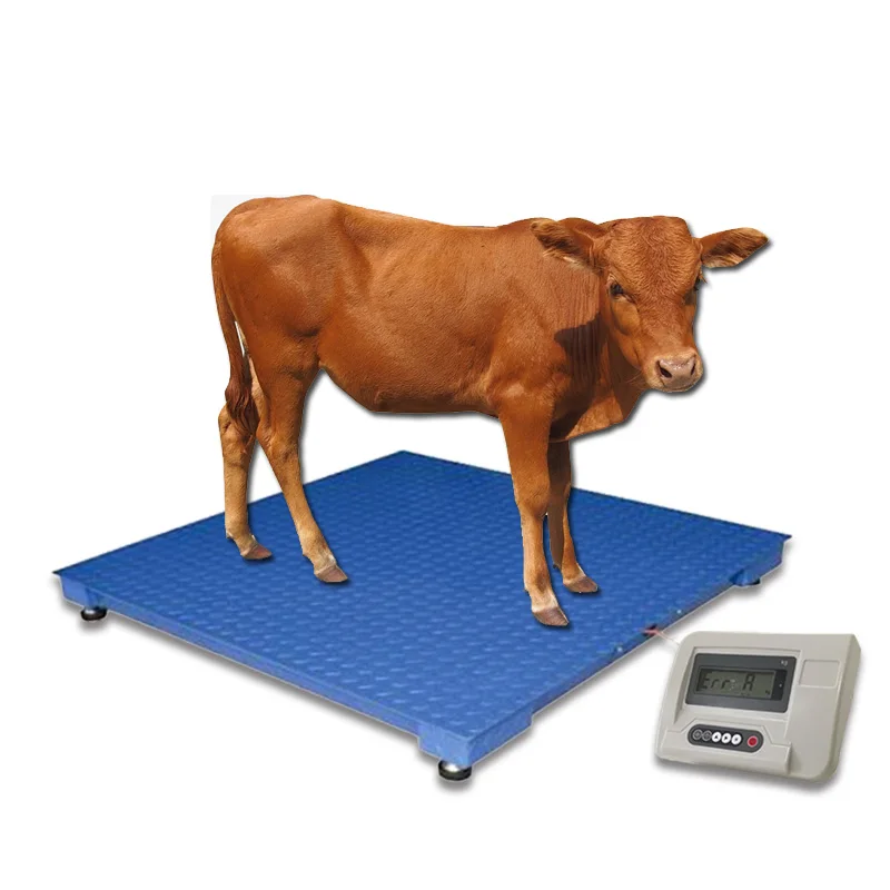 Weighing-Scale-Cattle-Pig-Sheep-Goat-Cow-1Ton-2-Ton-Animal-Livestock ...