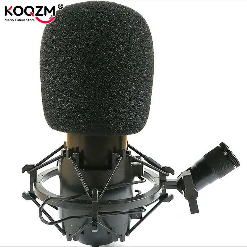 2pcs Microphone Foam Thicken Mic Cover Sponge Professional Studio ...