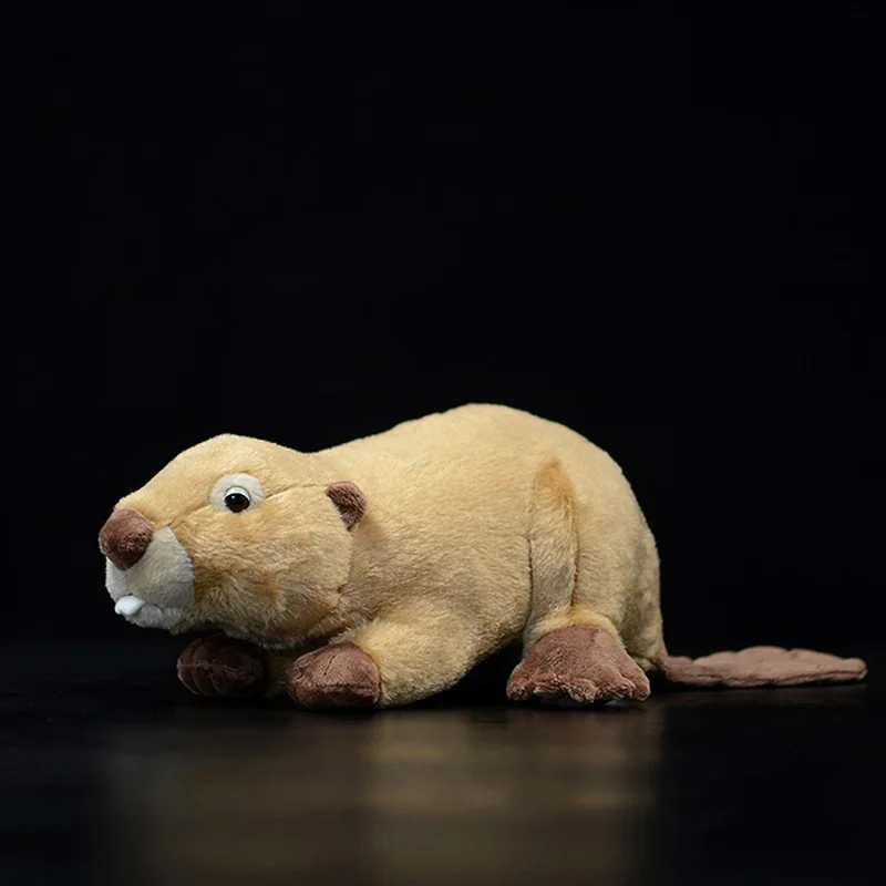 Real-Life-Eurasian-Beaver-Stuffed-Toys-Soft-Lifelike-Sea-Animals-Castor ...