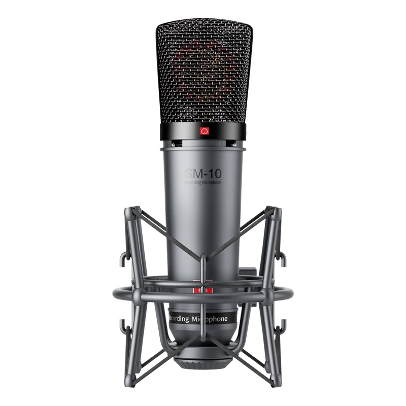 Takstar-SM-10-Professional-Recording-Microphone-Home-Studio-Voice ...