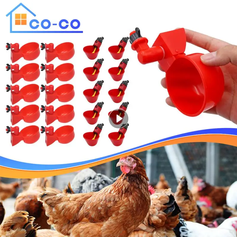 5-10pcs-Chicken-Duck-Drinking-Cup-Automatic-Drinker-Chicken-Feeder ...