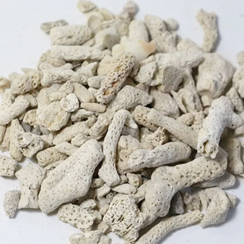 100g Aquarium Filter Media Natural Coral Bone Biological Filter for ...